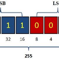 Binary Representation Download Scientific Diagram