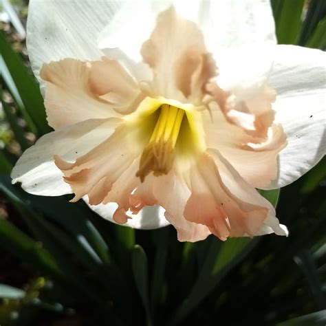 Ако имате късмет ще останете сами Съвсем самички до вас няма да има никой и ще ви се наложи