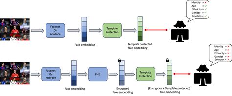 240416255 Enhancing Privacy In Face Analytics Using Fully