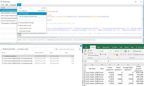 Guide Qupath Multiplex Analysis Workflow Detailed Pre 020 Release