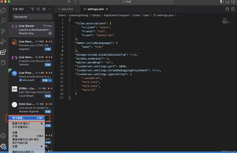 vs code live server live server插件怎么用 csdn博客
