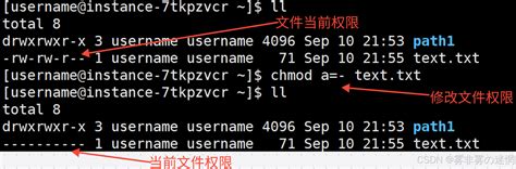 《初阶 Linux 工具学习:shell运行原理以及linux权限讲解》 Csdn博客 《初阶 Linux 工具学习:shell运行原理以及linux权限讲解》 Csdn博客