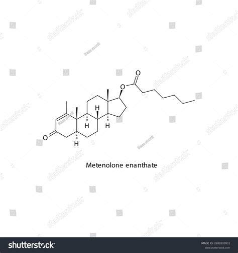 Metenolone Enanthate Flat Skeletal Molecular Structure Stock Vector Royalty Free 2280220931