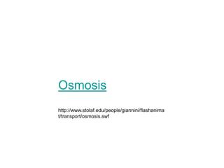 Diffusion Osmosis Lecture PowerPoint VCBCct Ppsx Chemistry Science
