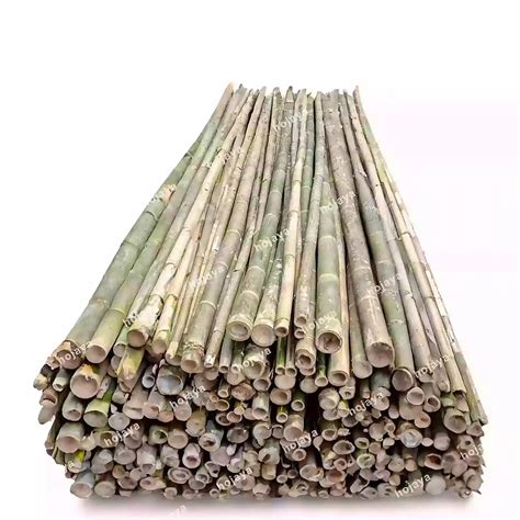 Jual Bambu Steger Berkualitas Untuk Kebutuhan Konstruksi