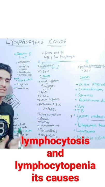 The Unseen Battle Lymphocytosis And Lymphocytopenia Explained Youtube