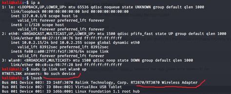 Wifi RTNETLINK Answers No Such Device Wireless Card Kali Linux Server Fault