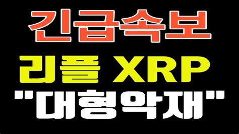 리플 리플코인 대형악재 리플속보 리플대응 리플전망 리플소식 리플해킹 리플차트 리플분석 Xrp Youtube