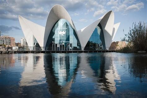 Manufactured Shell Structures