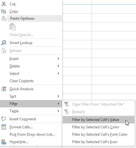 Filter By Cell Value Keyboard Shortcut A4 Accounting
