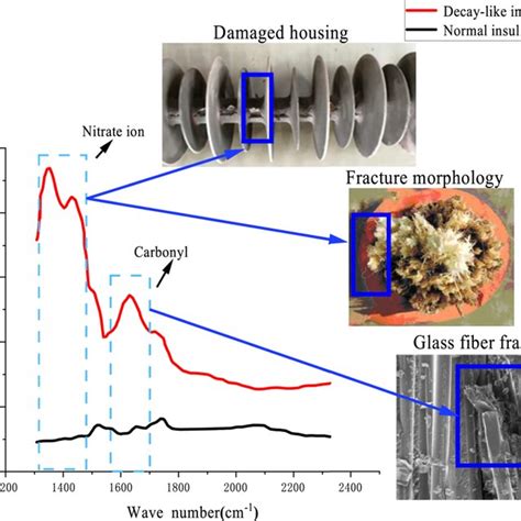 Different Radar Graph Mapping Models Of The 4‐dimension Sample Download Scientific Diagram