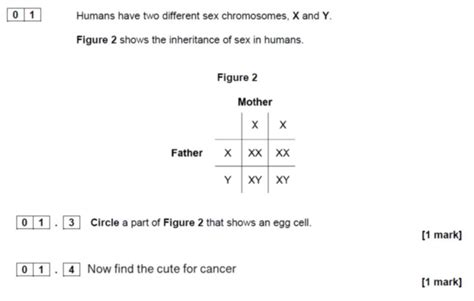 My Biology Paper 2 Prediction R Gcse