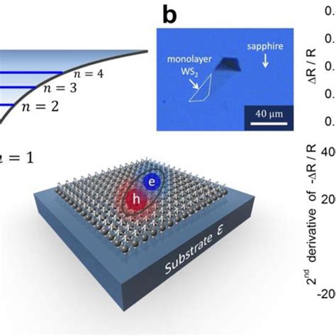 Measurement Of Optical Transitions By Dr Spectra A Schematic Showing Download Scientific