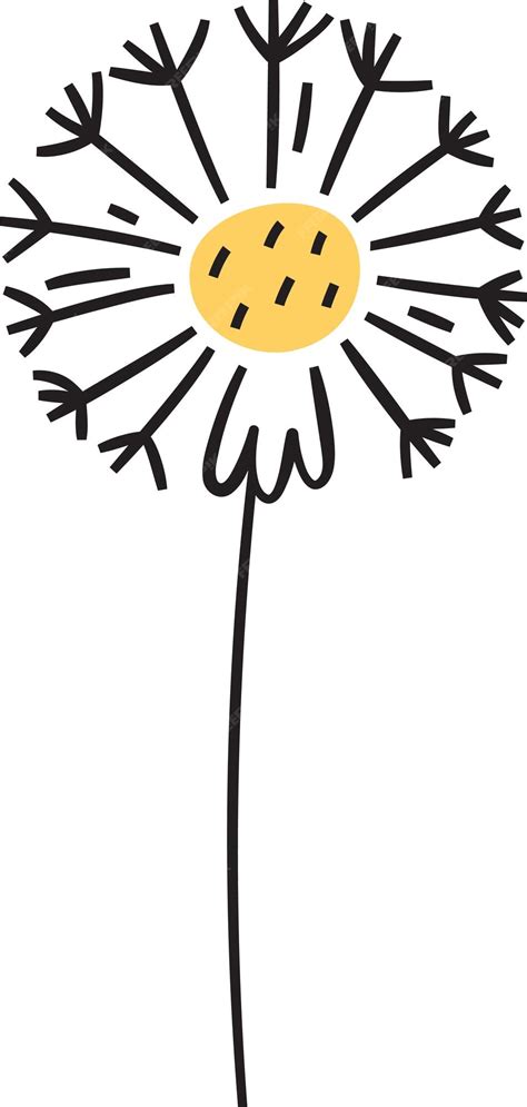 Premium Vector Dandelion Flower Outline