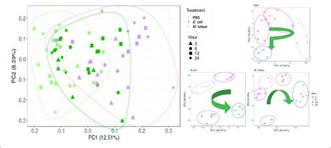 Relationship Between The Samples Left Graph Shows The Relationship Download Scientific