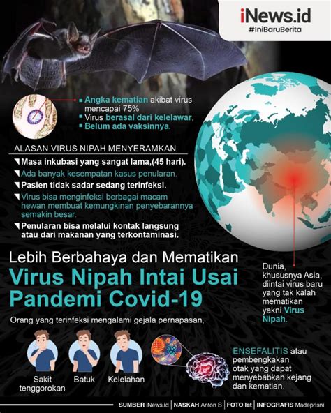 Apa Itu Virus Nipah Ini Gejala Dan Ancaman Bahaya