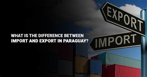 What Is The Difference Between Importing And Exporting In Paraguay