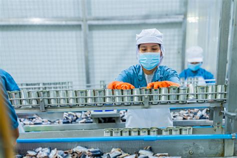 위생 장비를 착용한 공장 작업자가 생산 라인에서 캔을 검사하고 식품 가공 품질 관리 안전 및 청결 표준 준수를 보여줍니다 Launch Party에 대한 스톡 사진 및 기타