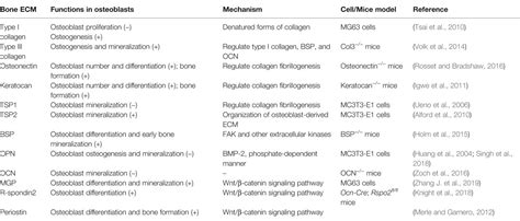 Extracellular Matrix Bone
