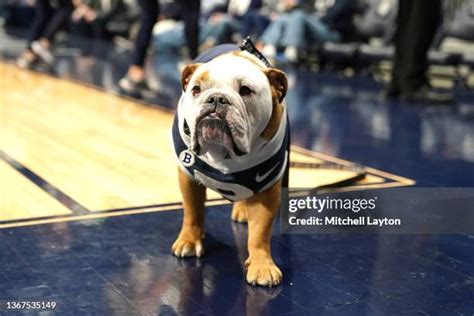 Butler Mascot Photos And Premium High Res Pictures Getty Images
