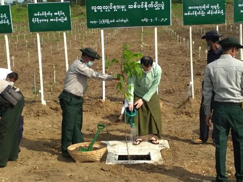 လပွတ္တာမြို့နယ်၌ မိုးရာသီလူထုလှုပ်ရှားမှု သစ်ပင်စိုက်ပွဲတော် ကျင်းပ Information And Public