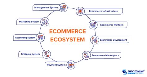 Ecommerce Ecosystem Difficulties For Vietnamese Business