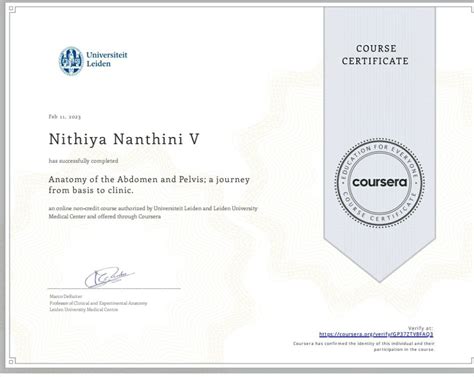 Nithiya Nanthini V On Linkedin Coursera Coursecompletion