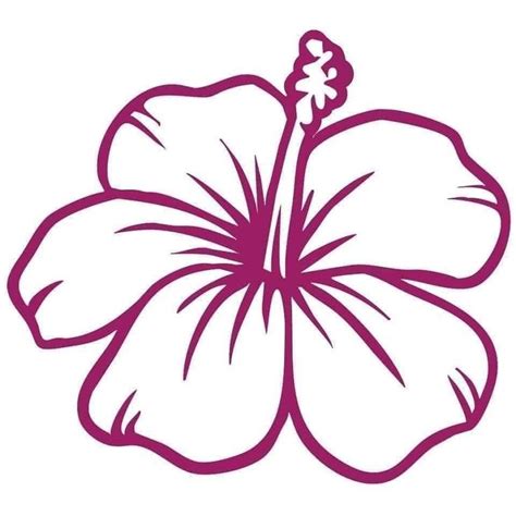 20 Inspiration Moldes Flores Hawaianas Para Dibujar 4f4 Flores Hawaianas Flores Flor