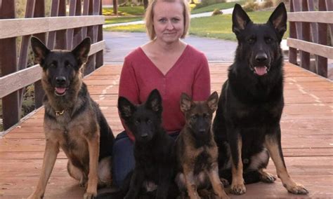 Meet Elizabeth Knight Of Foundation K9 Training Voyage Utah Magazine