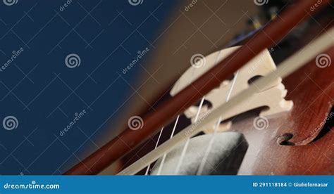 Closeup Shows Violinist S Focus And Instrument Mastery Stock Footage Video Of Portrait