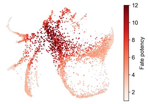 Lineage Tracing Analysis — Cscb2022 Documentation