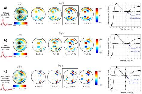 entropy special issue wavelet entropy computation and applications