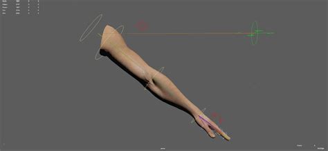 Realistic Arm Rig Animprops