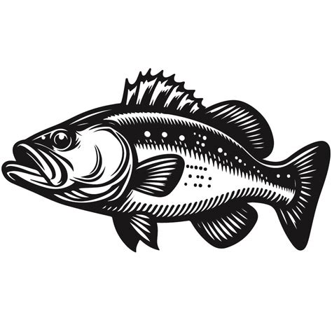 Free Largemouth Bass Fish Svg Black And White Svg Vector File For