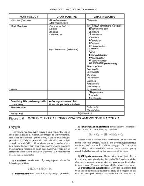 Clinical Microbiology Made Ridiculously Simple Microbiology Medical