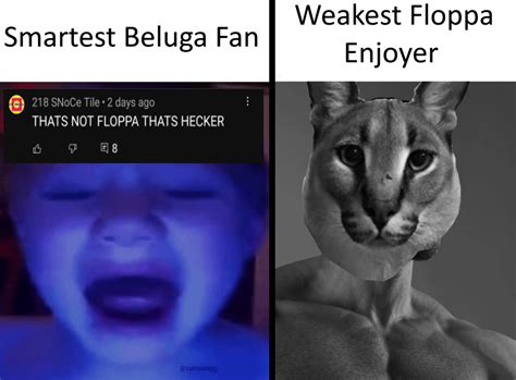 Stardoc 134 Bbs Updated R Bbs