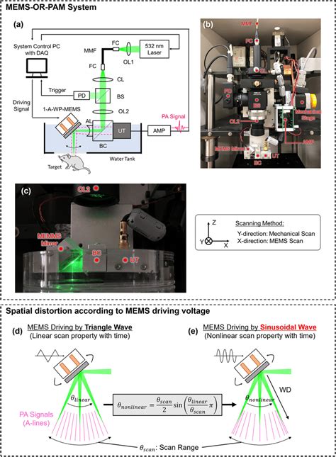 schematic of experimental setup upper dotted square and spatial