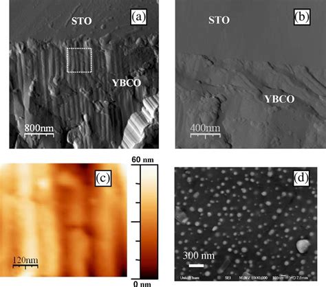 A Cross Sectional Afm Image Deflection Mode Of A Au Ybco Download Scientific Diagram