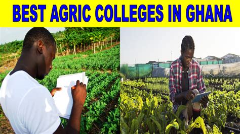 Top 10 Best Agriculture Collegesuniversities In Ghana Patstune
