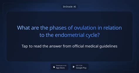 What Are The Phases Of Ovulation In Relation To The Endometrial Cycle