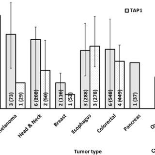 Higher Frequency Of HLA Class I Expression Defects In Formalin Fixed Download Scientific