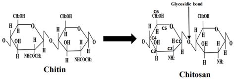 Structural And Physiochemical Characteristics Of Chitosan
