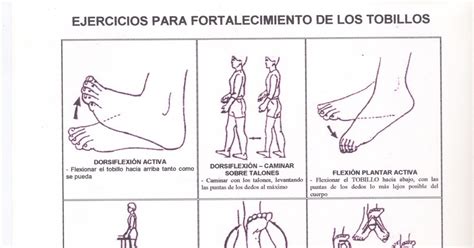 Vive El Basket Con Eduardo Burgos Ejercicios Para Fortalecimiento De