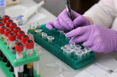 Test Qué es definición y concepto