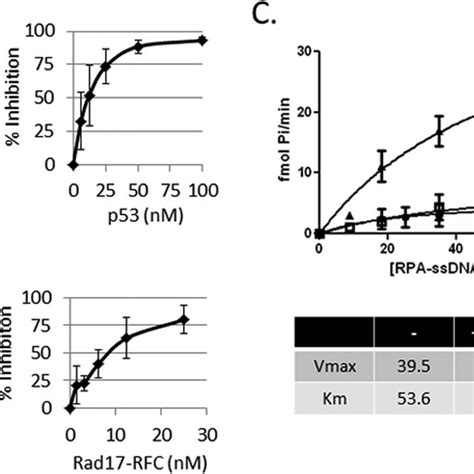 Atrip P53 And Rad17 Rfc Recruitment To Ssdna By Rpa And Rpa Mutants