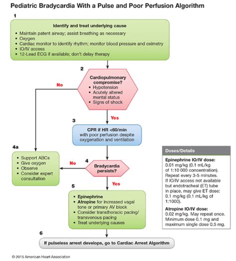Pulmcrit Epinephrin Vs Atropin Bei Bradykarden Periarrest