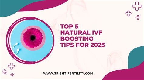 Top 5 Natural Ivf Boosting Tips For 2025 Dr Mamta Gupta