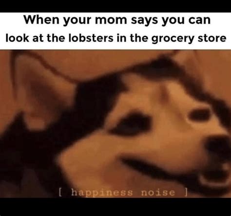 The Latest Memes Memedroid