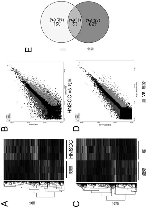 Circulating Long Non Coding Rna Biomarkers And Kits And Uses For