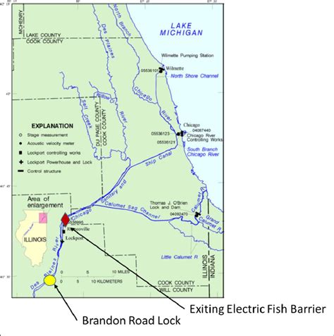Diagram Of The Caws System Modified From Duncker 2011 Download